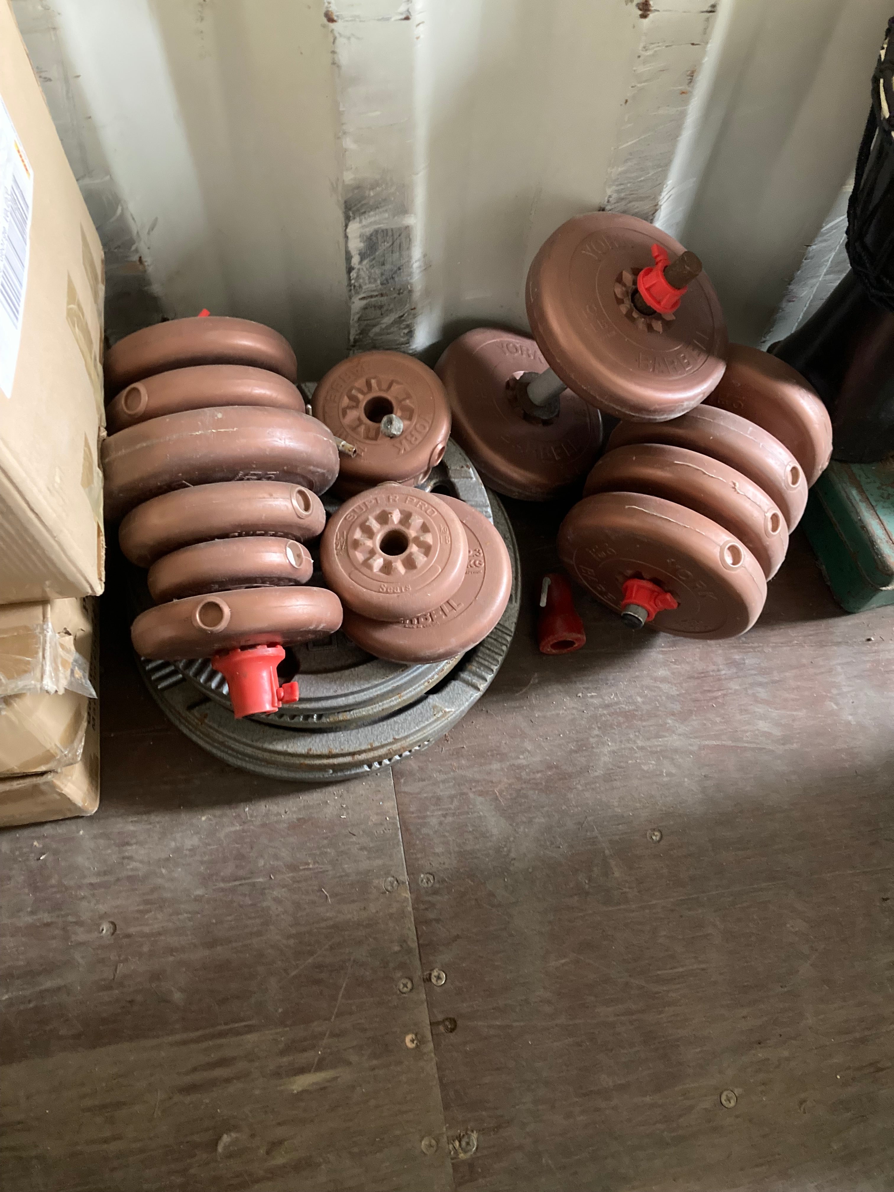 Gym Weights – BC Cranes